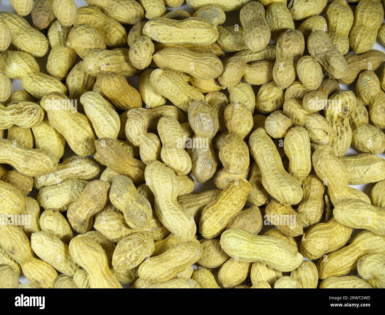 Many size hi-res stock photography and images - Alamy