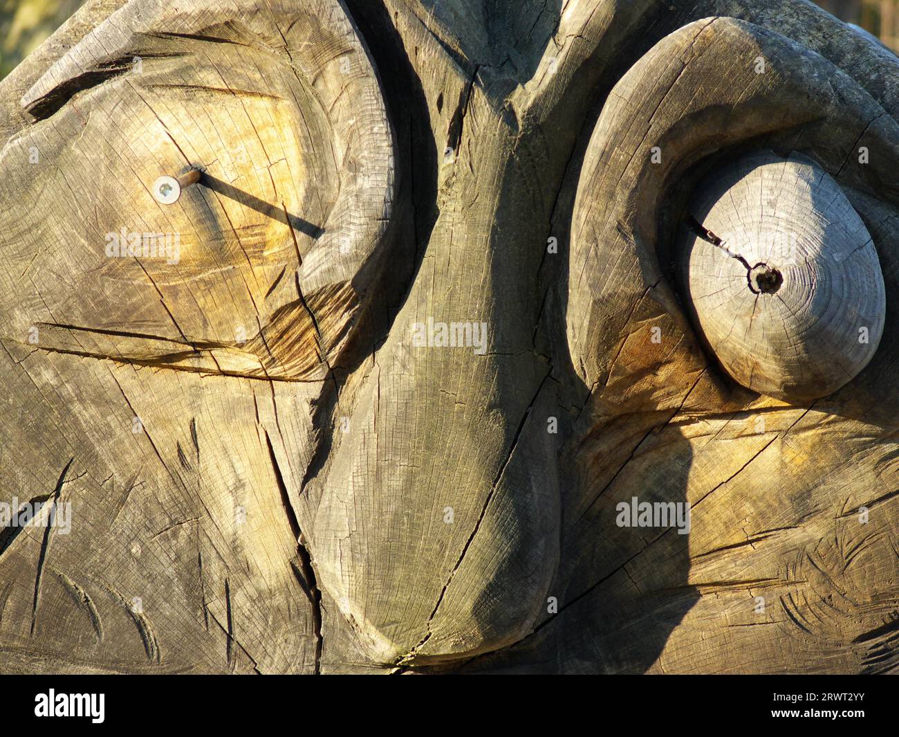 Tree face carving hi-res stock photography and images - Alamy