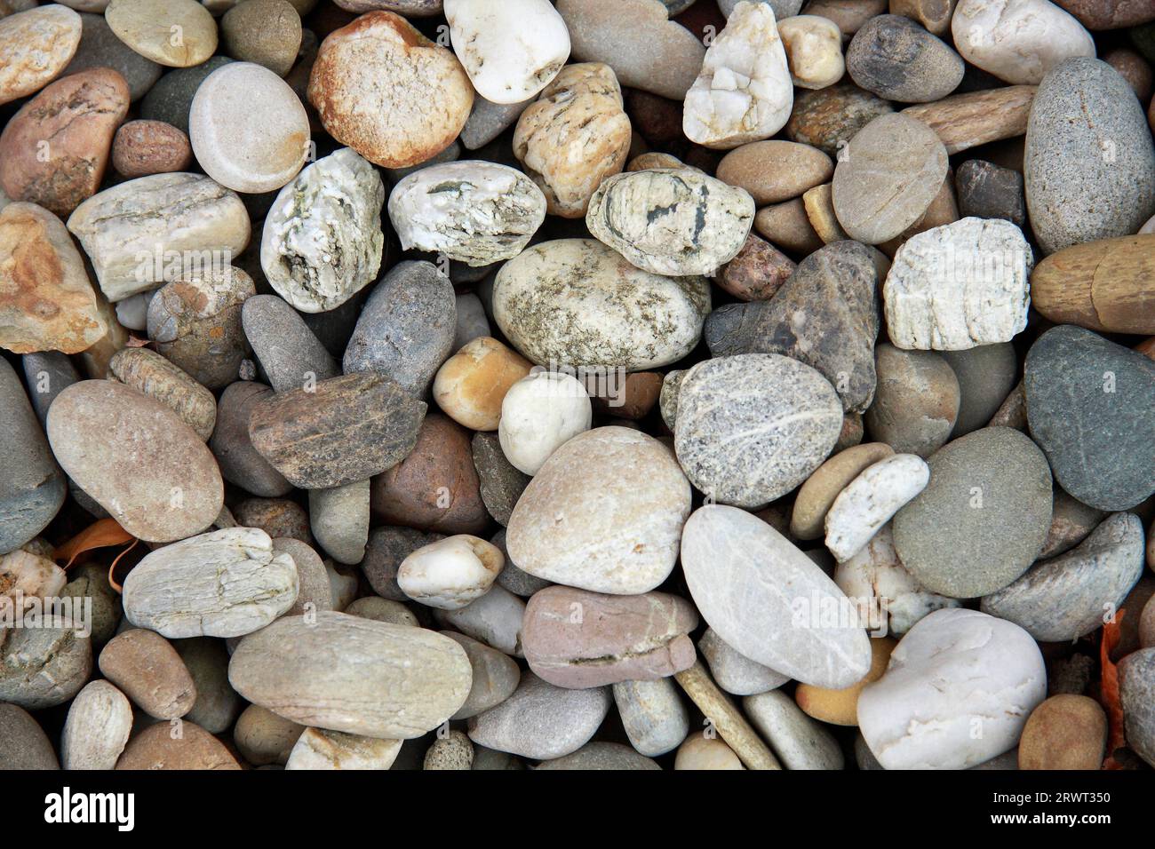 Pebbles in different sizes and colours, filling the format Stock Photo ...
