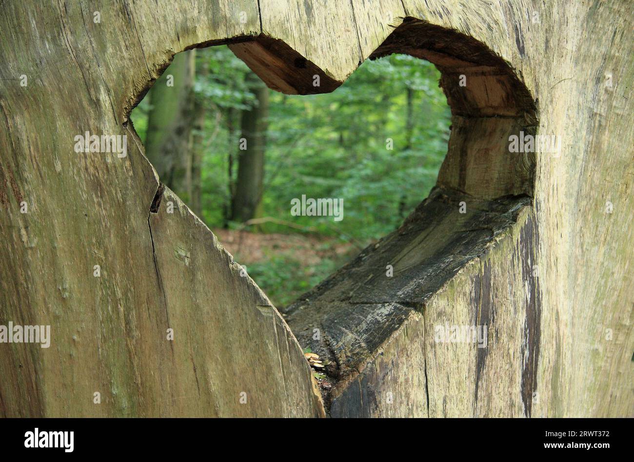 Heart tree cut out hi-res stock photography and images - Alamy