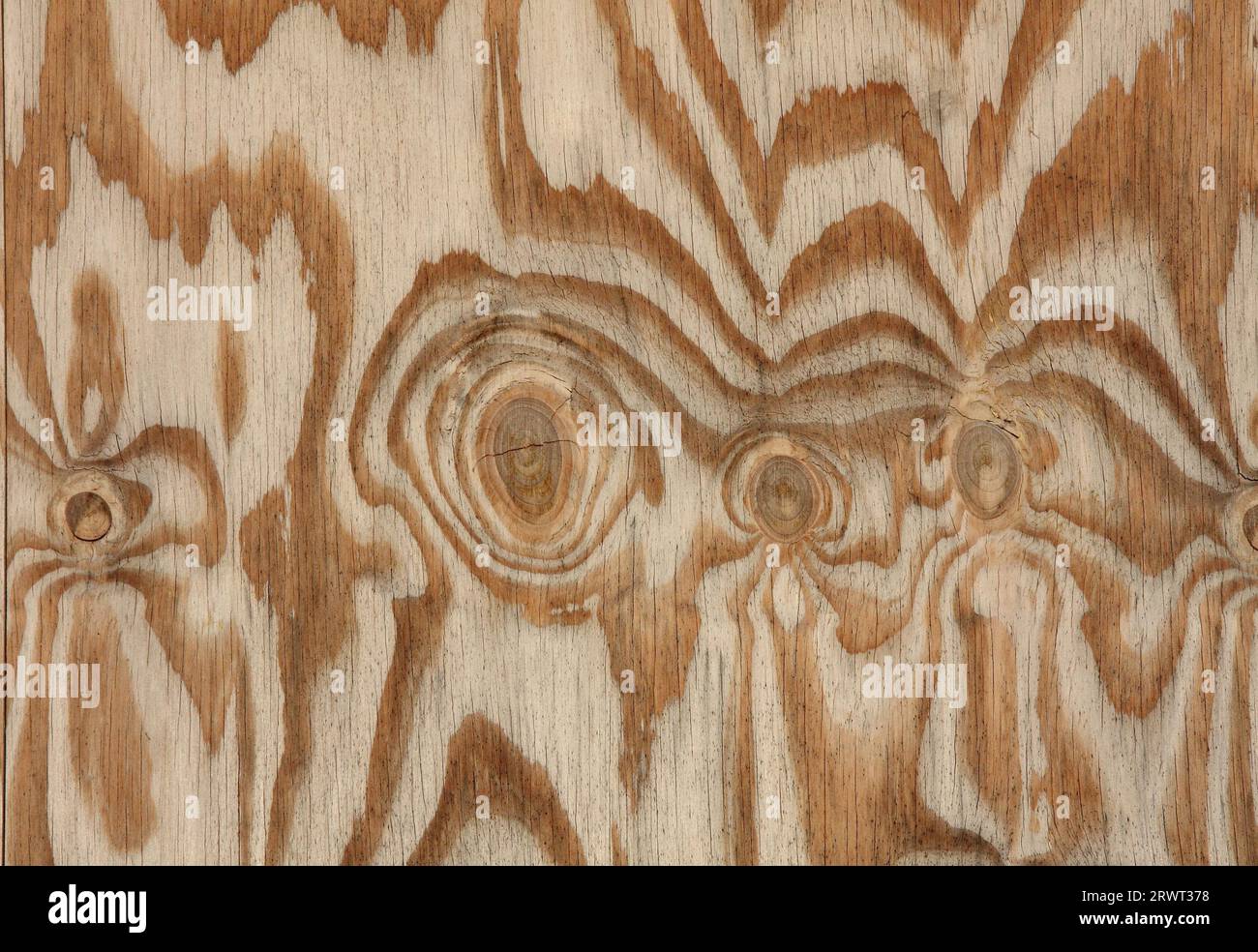 Wooden panel with strong grain and some knotholes, format-filling Stock ...