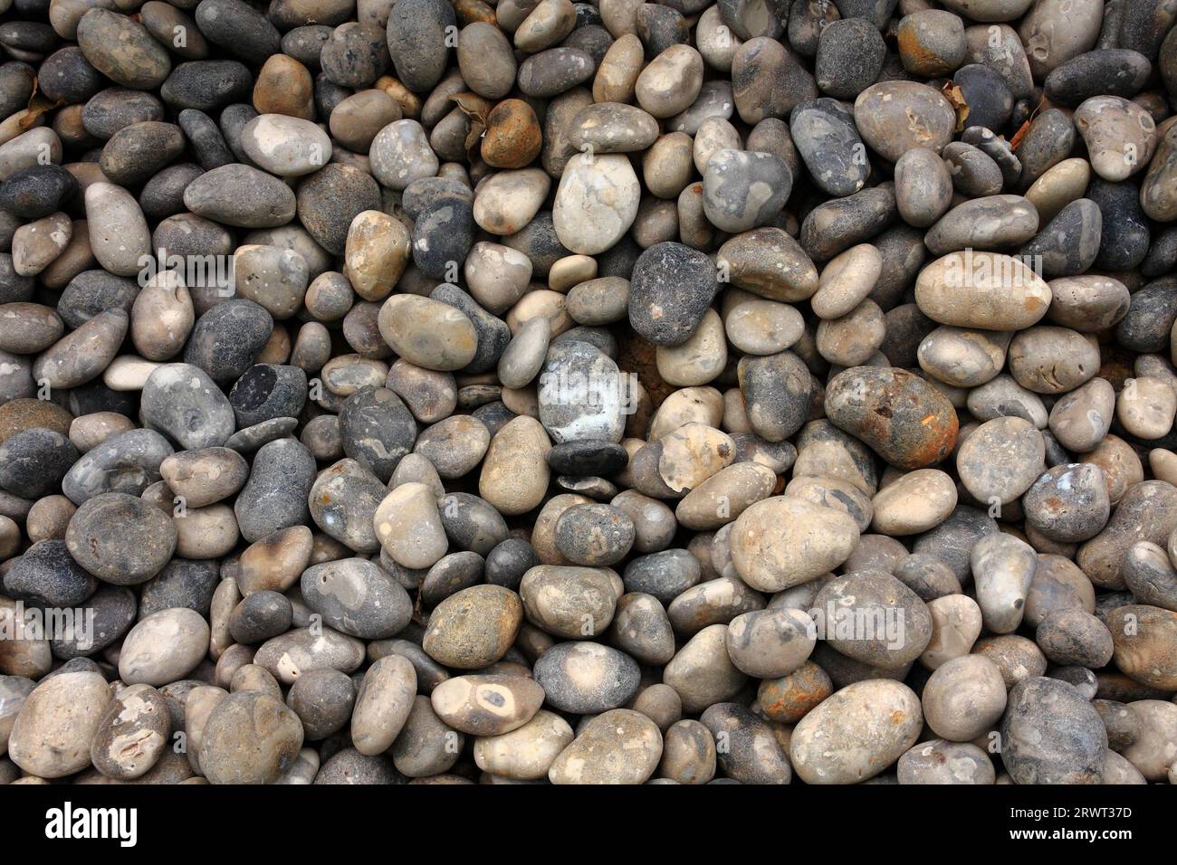 Pebbles in different colours, shapes and sizes, format-filling Stock ...