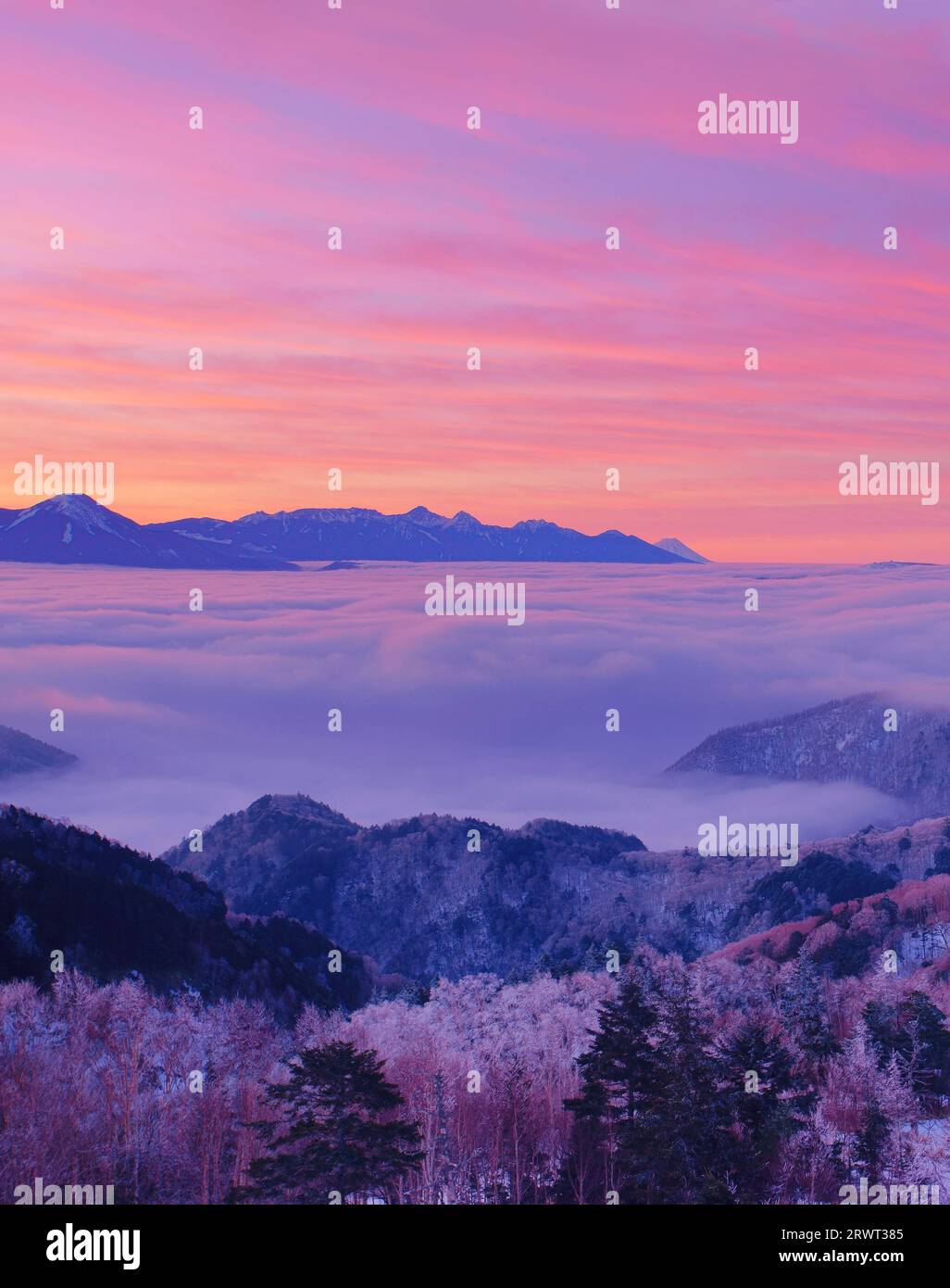 The Yatugatake mountain range at sunrise seen from Utsukushigahara, Mt ...