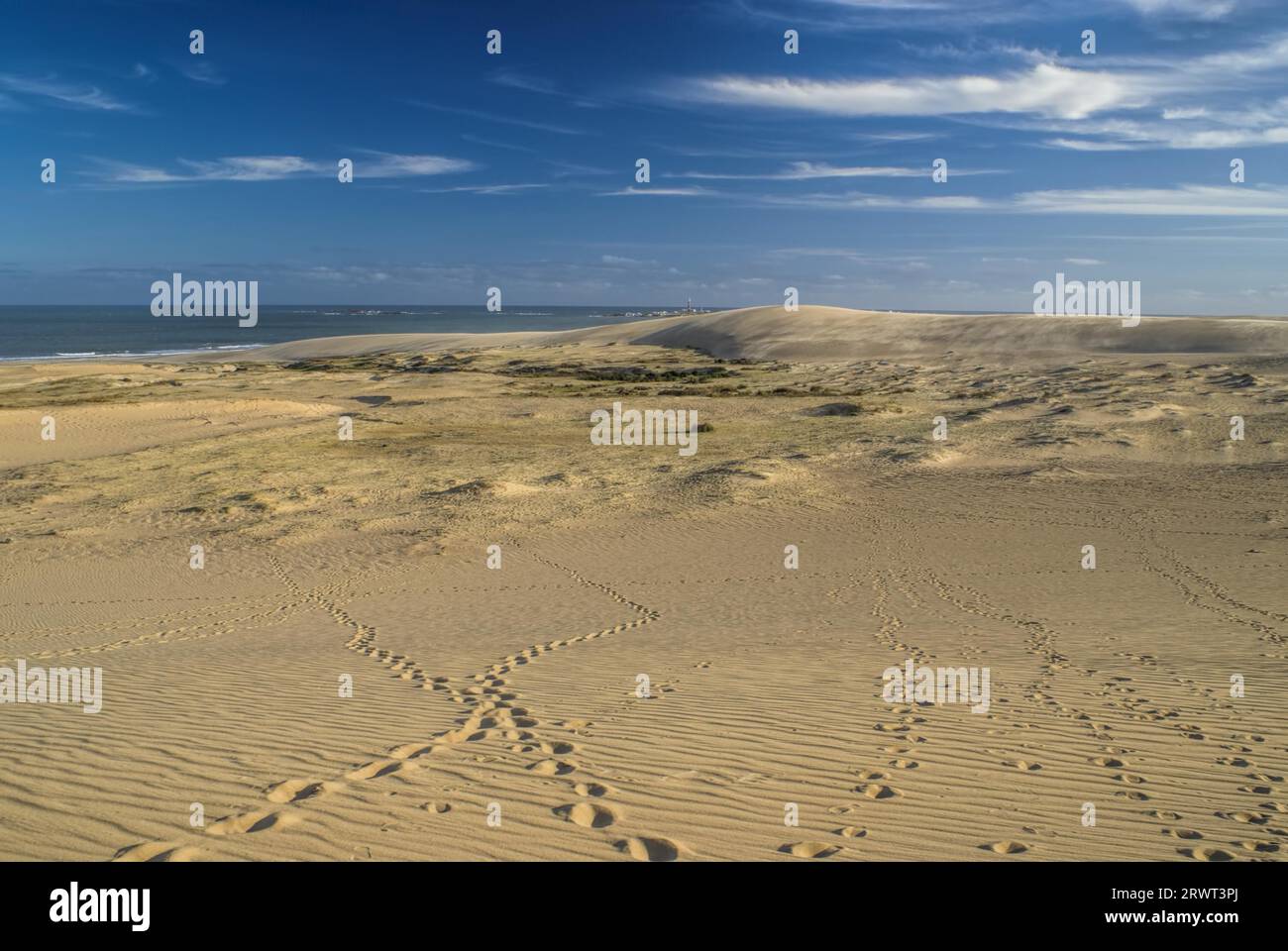 Sand dunes on the atlantic coast near Cabo Polonio in Uruguay, south ...