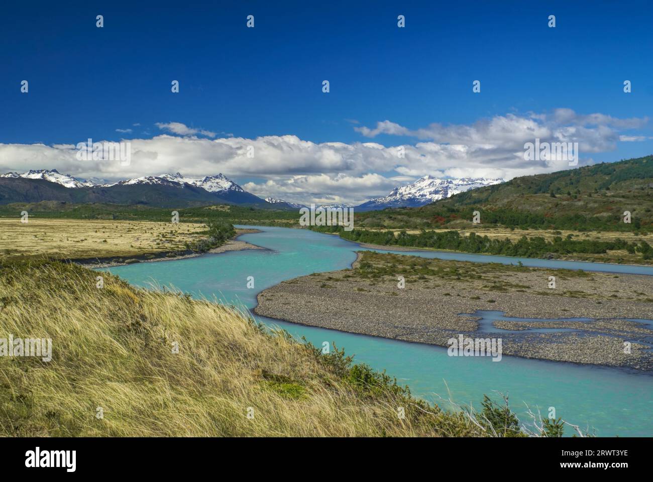 Amazing view of grassy plains surrounding a river in Torres del Paine ...
