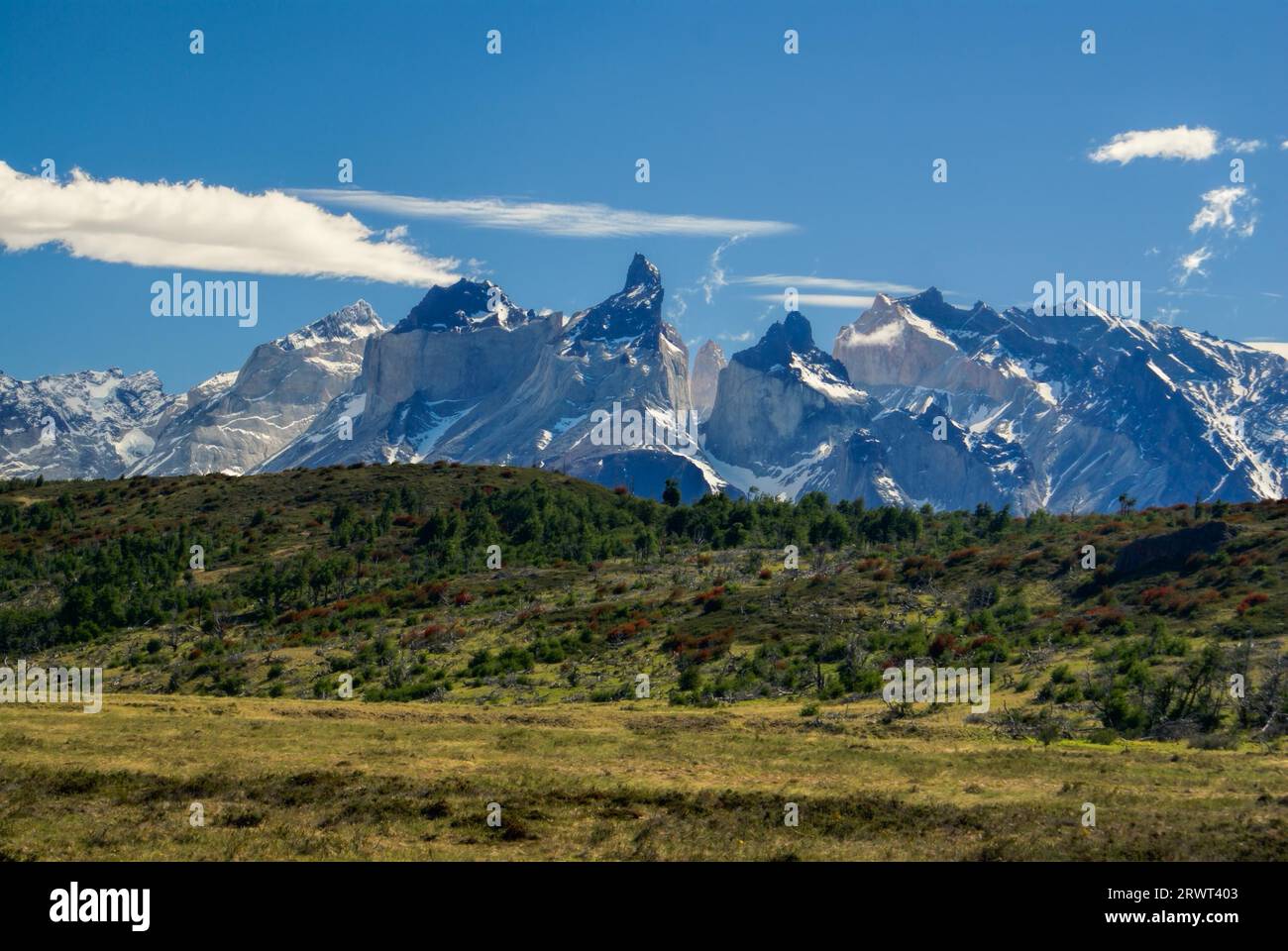 Grassy plains of the andes mountains hi-res stock photography and ...