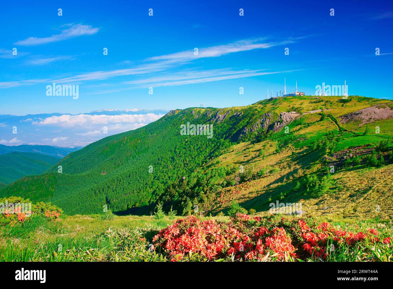 Renge azalea, Oogajou and Hotaka mountain range Stock Photo - Alamy