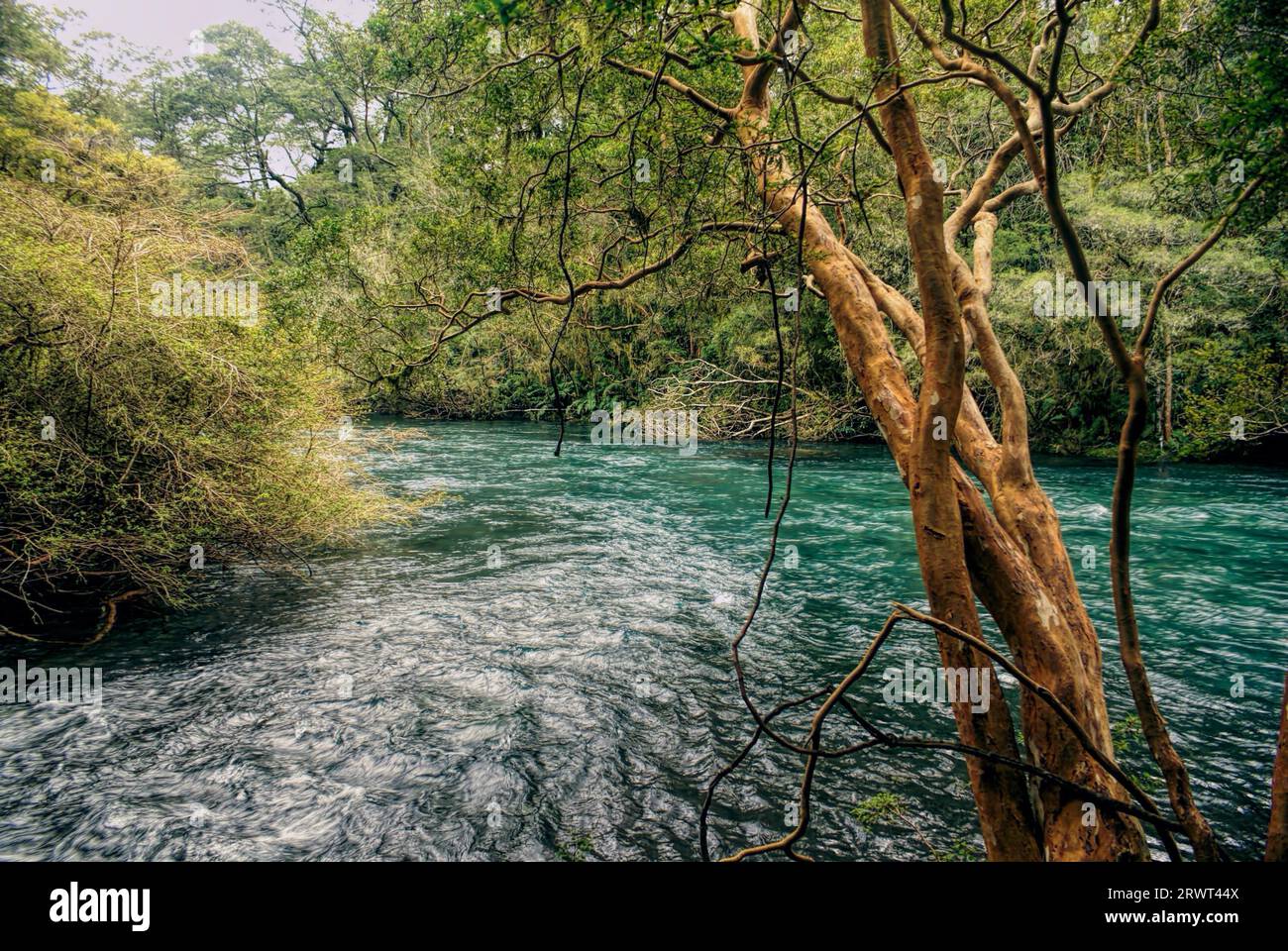 Picturesque view of a river flowing through Parque Nacional Vicente ...