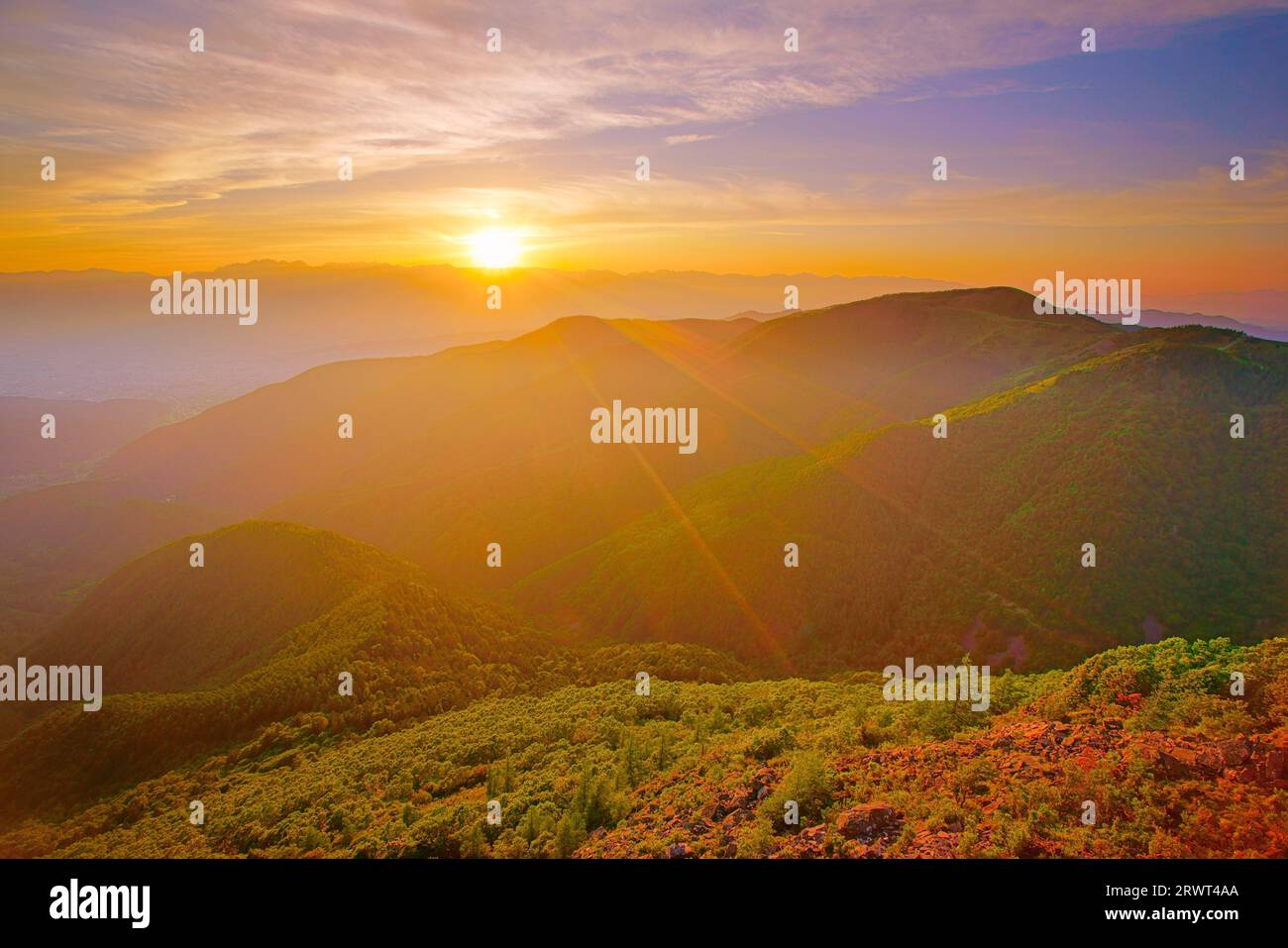 The sea of trees in the direction of Cloudy City, the Hotaka mountain ...