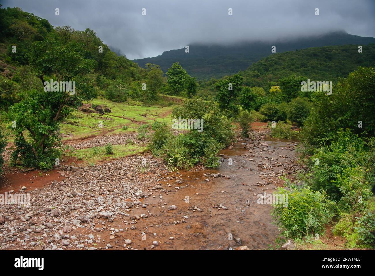 Indian rural landscapeon a moist summer's day near Ratangad fort in ...