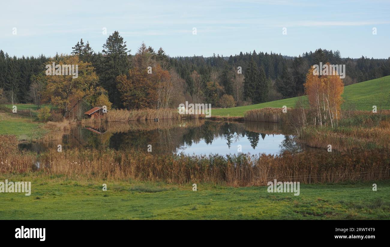 Pond hut hi-res stock photography and images - Alamy