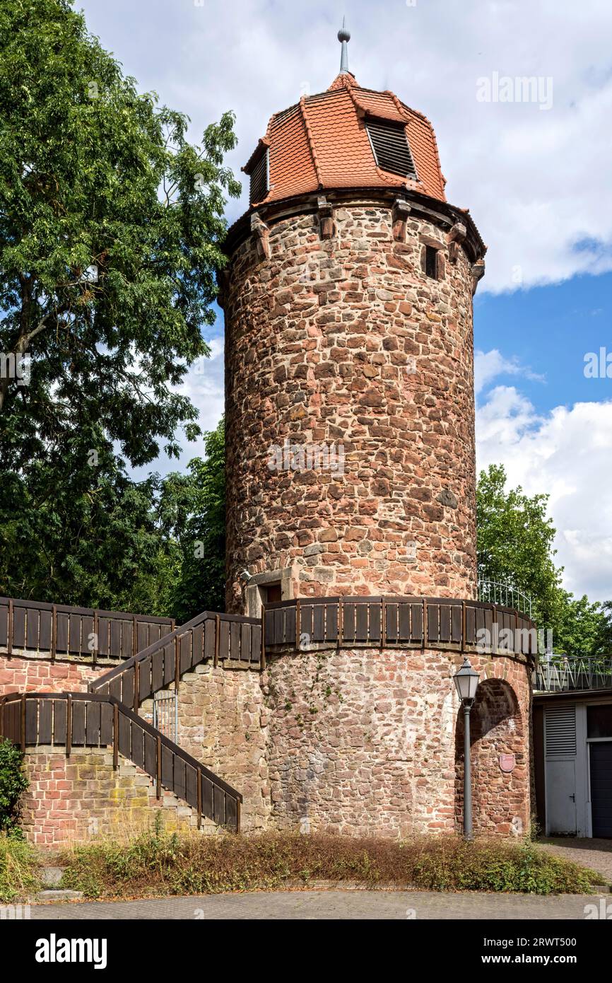 Medieval Watchtower