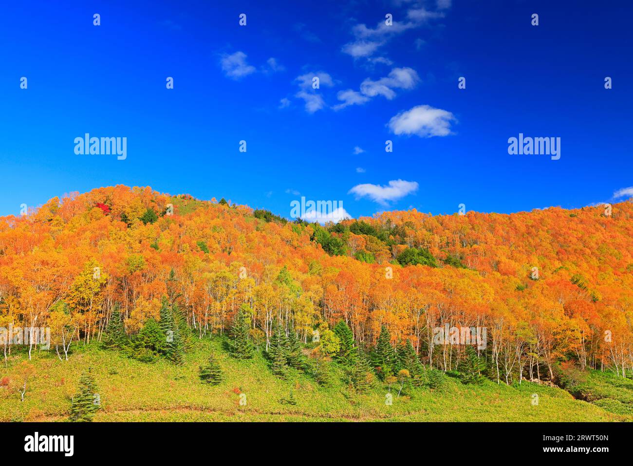 Autumn foliage and clouds in the east direction seen from near the ...