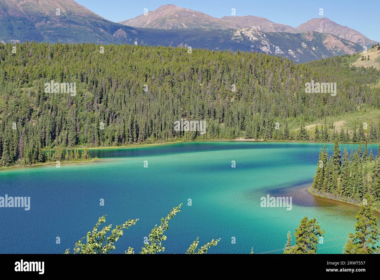 x–Transparent clear lake with green water colour, forest and mountains ...