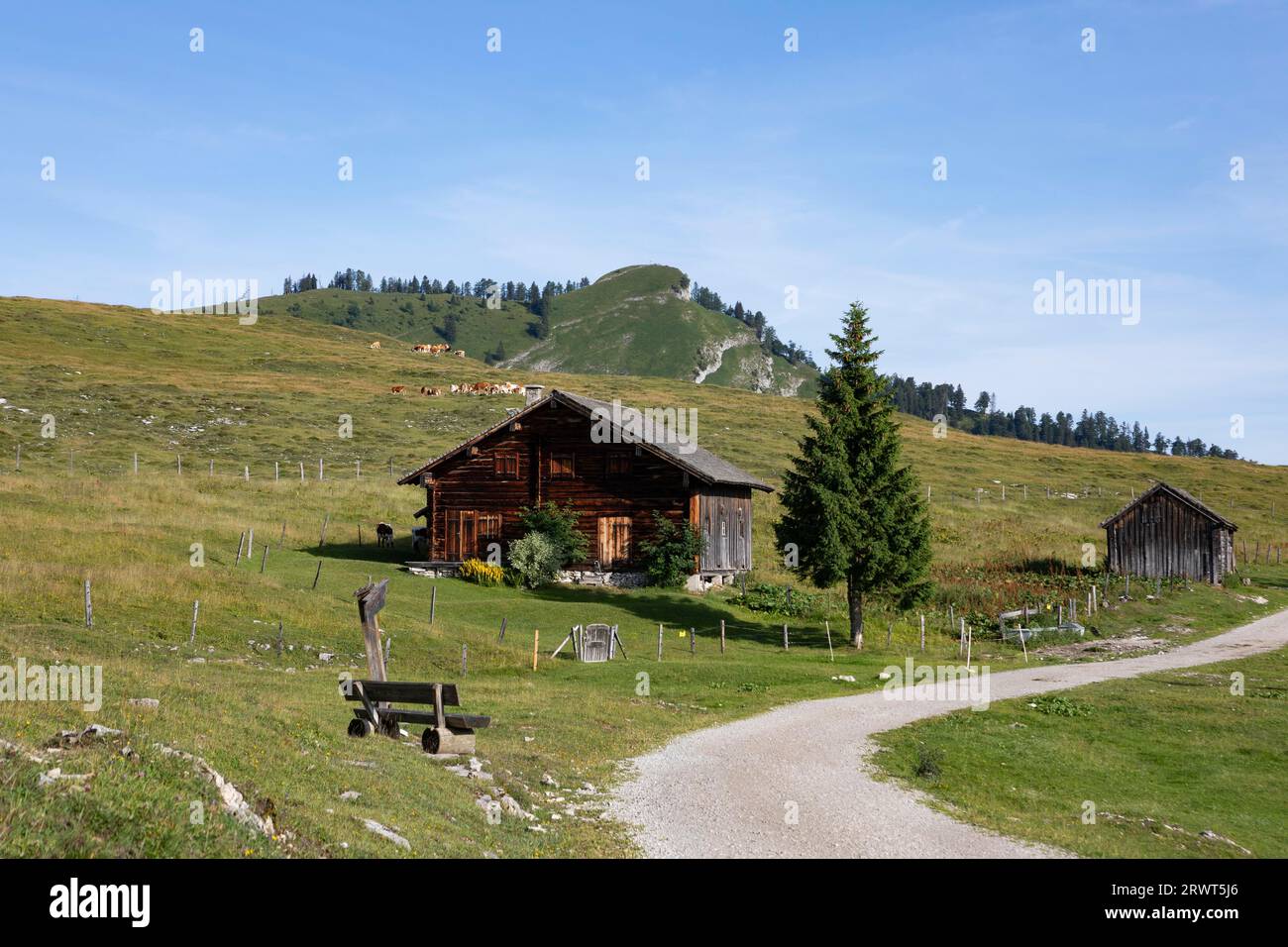 Alpine hut on the Postalm with a view of the Wieslerhorn ...