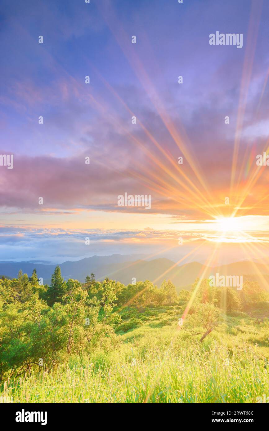 Sea of clouds and the rising sun in the direction of Karuizawa, seen ...