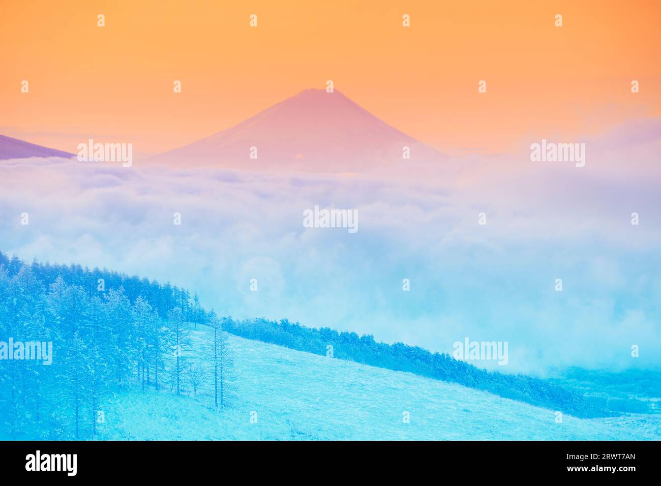 Mt airy forest hi-res stock photography and images - Alamy