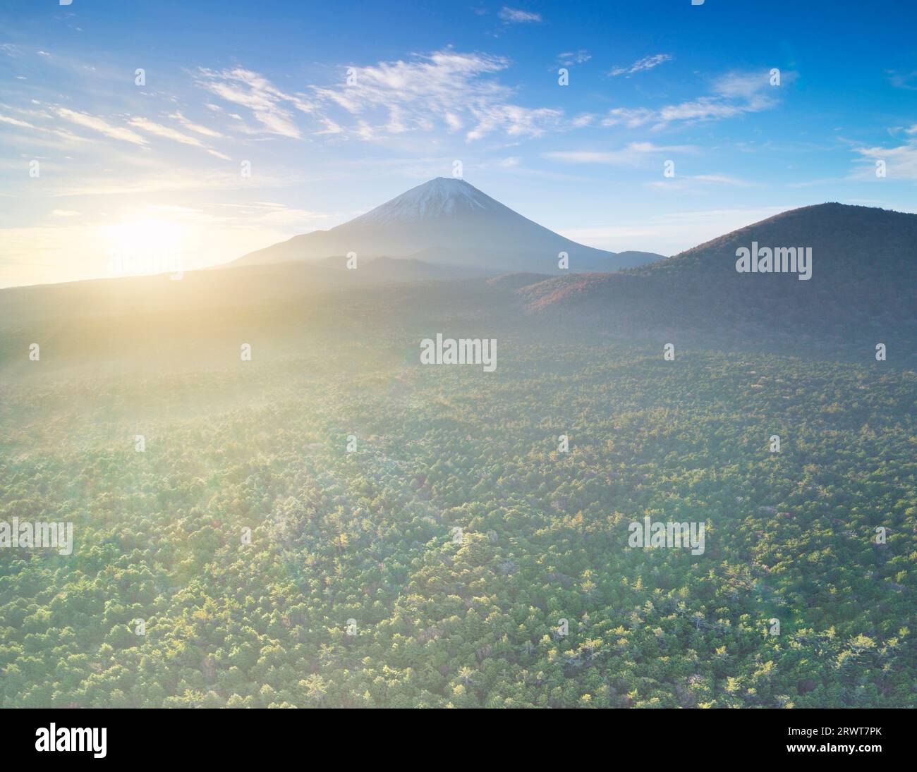 Aokigahara Sea of Trees and Mt. Fuji and the rising sun Stock Photo - Alamy