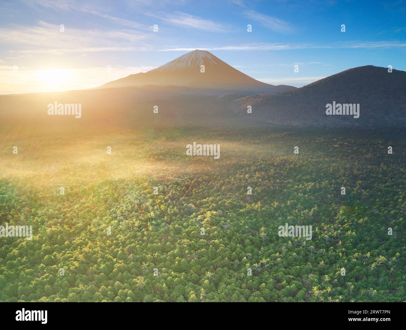 Aokigahara Sea of Trees and Mt. Fuji and the rising sun Stock Photo - Alamy