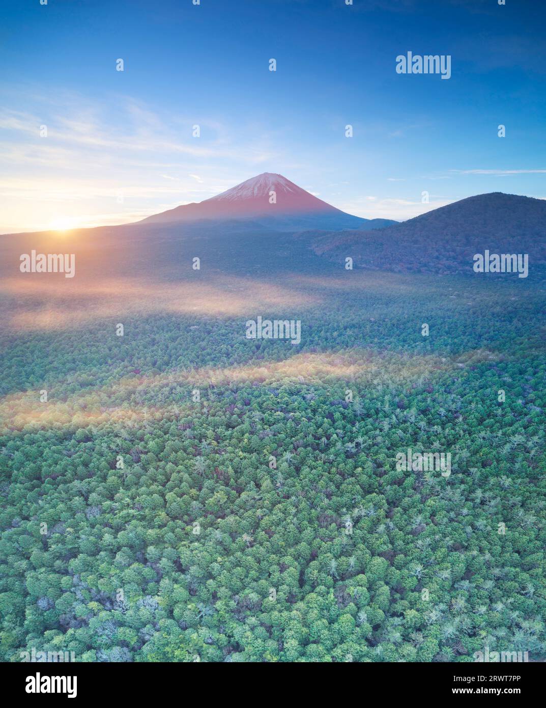 Aokigahara Sea of Trees and Mt. Fuji and the rising sun Stock Photo - Alamy