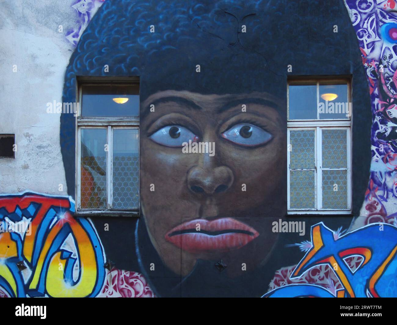 Flower Power Graffiti, Fantasy Portrait with Two Illuminated Windows ...