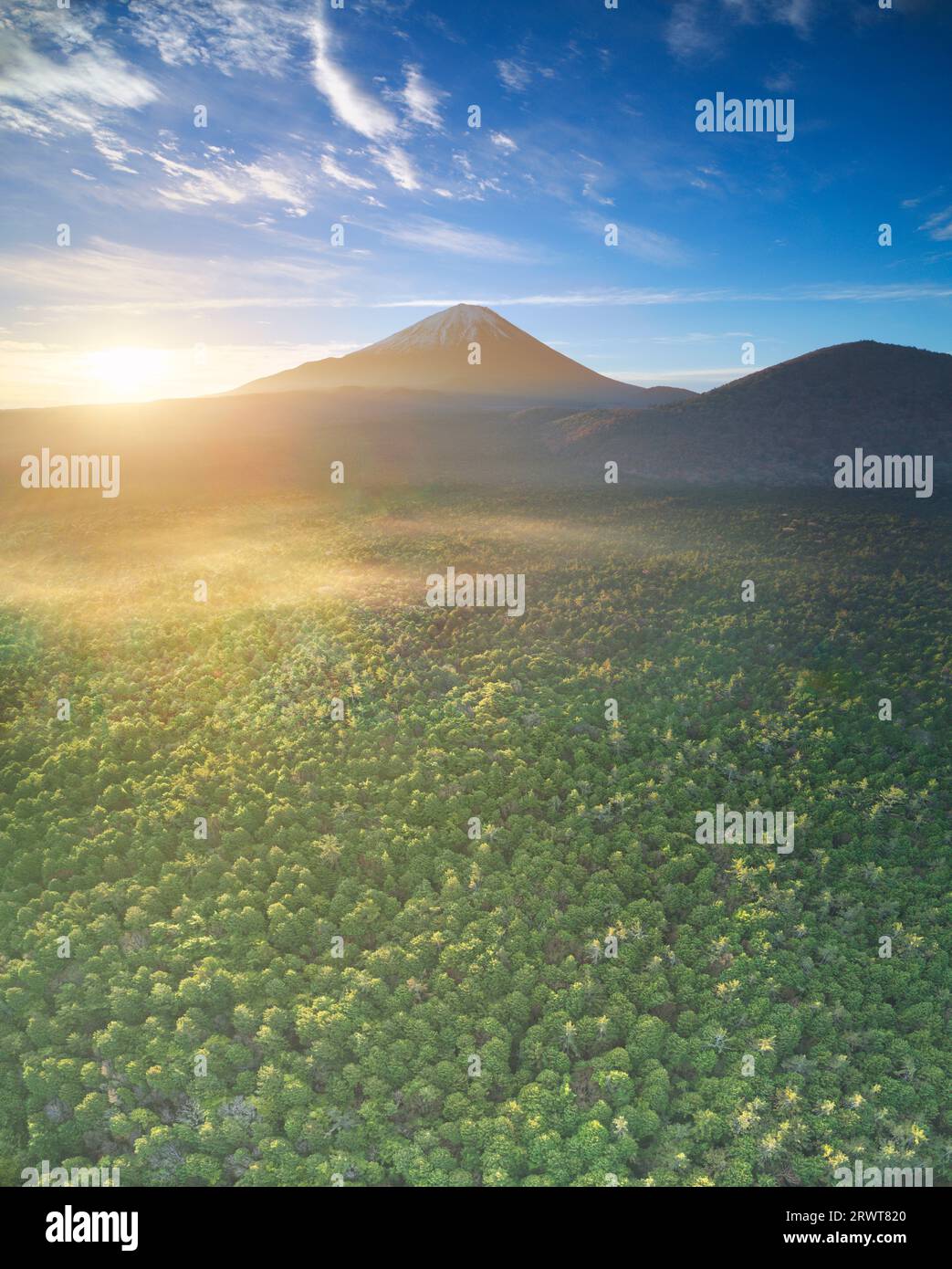 Aokigahara Sea of Trees and Mt. Fuji and the rising sun Stock Photo - Alamy