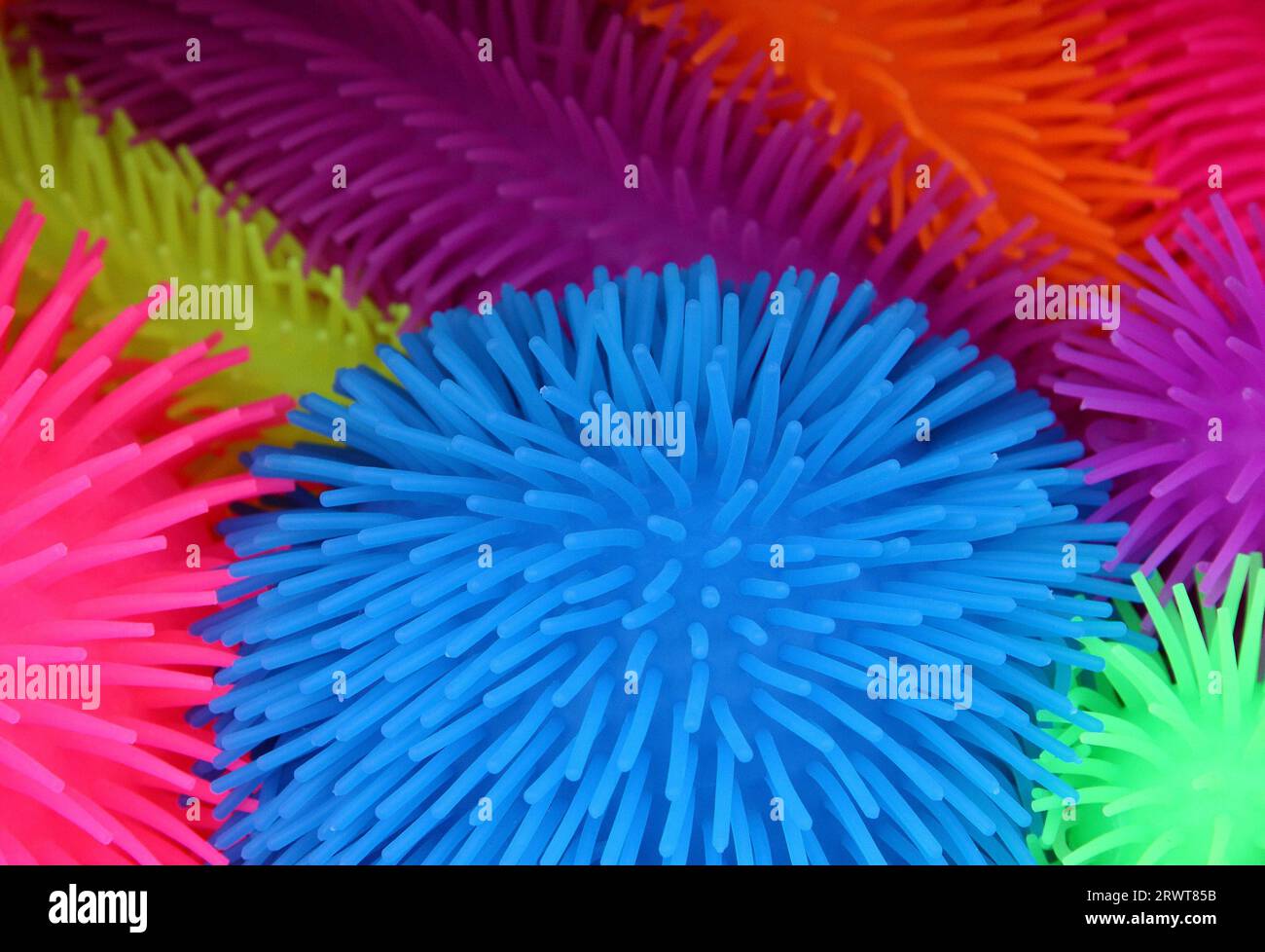 Squeaky coloured nubs of a Stock Photo - Alamy