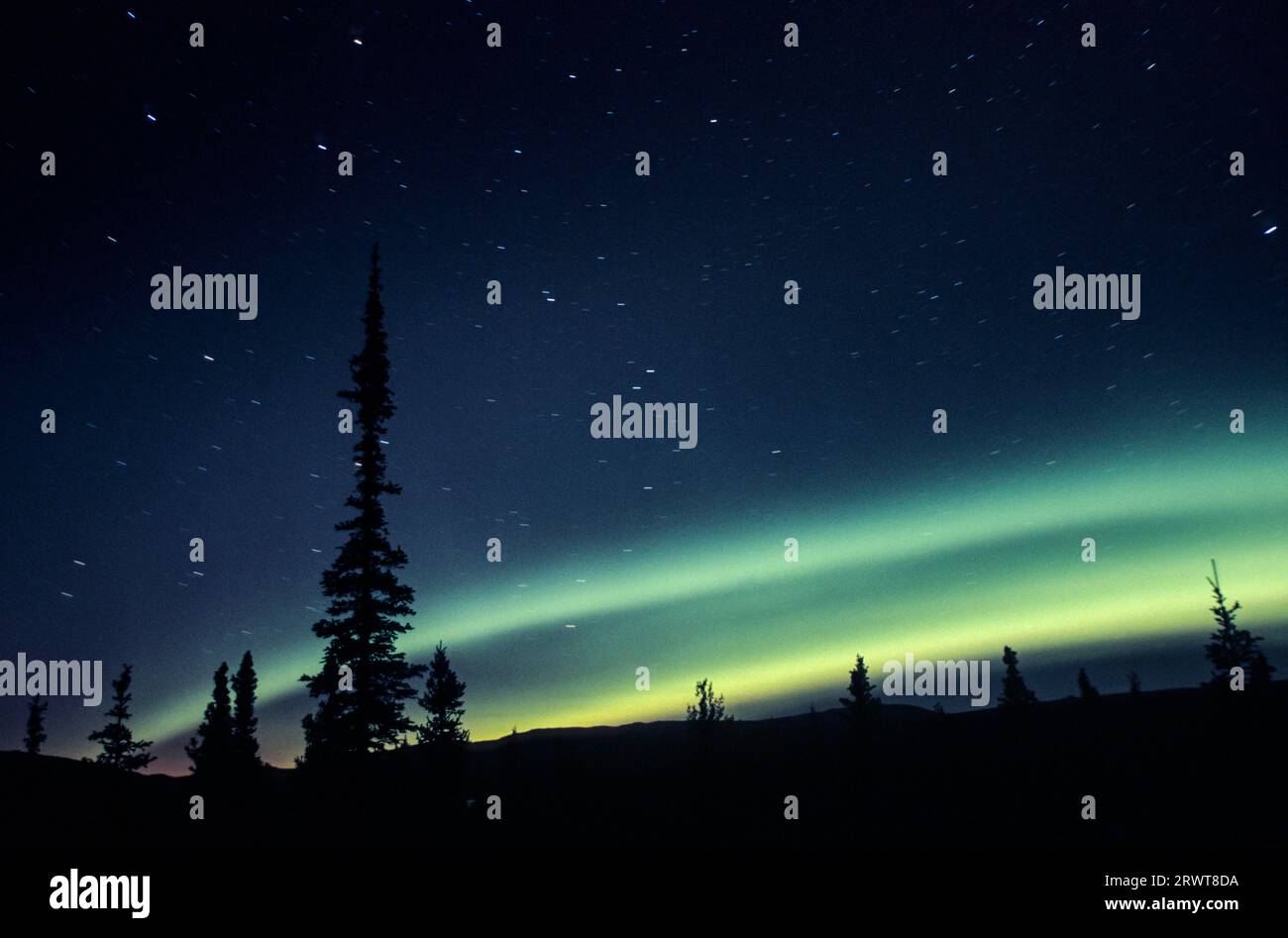 Northern Lights at night sky, Denali National Park, Alaska Stock Photo ...