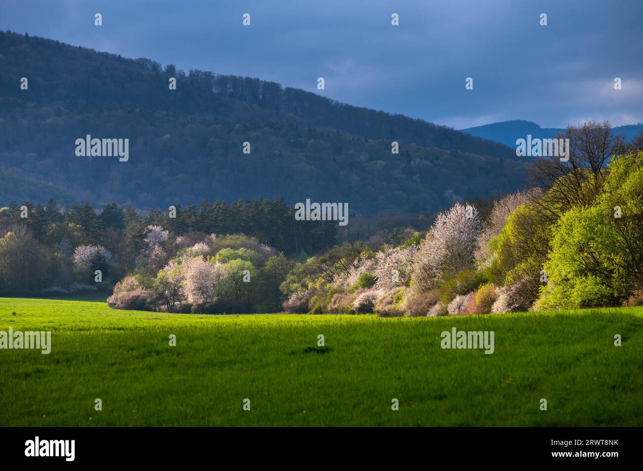 Enchanting splendor hi-res stock photography and images - Alamy