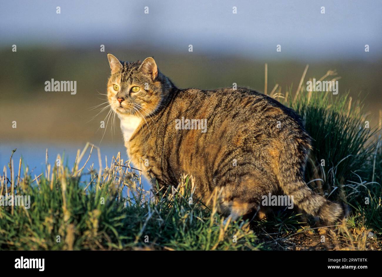 Sleep an hour hi-res stock photography and images - Alamy