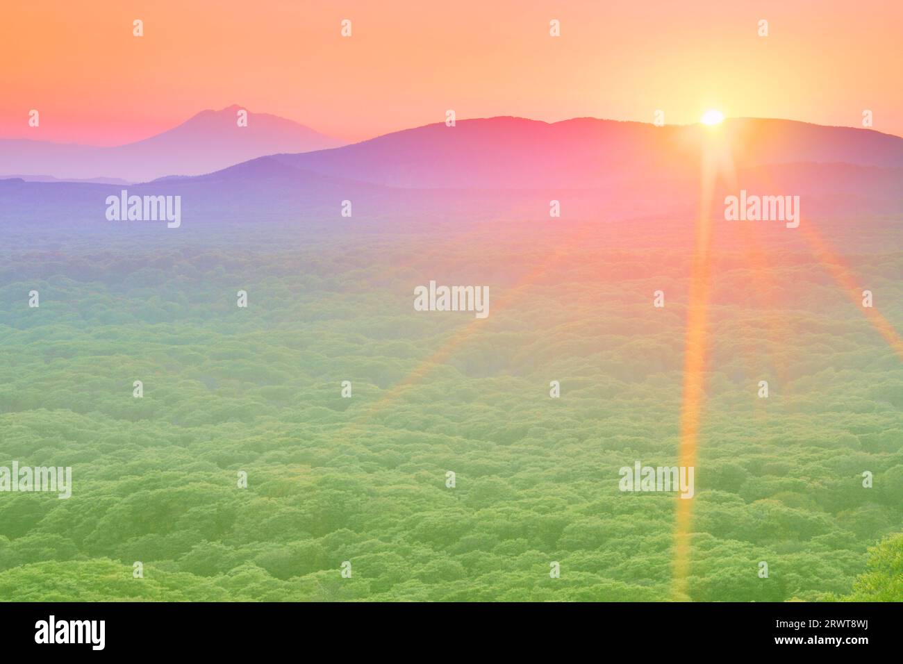 Mt airy forest hi-res stock photography and images - Alamy