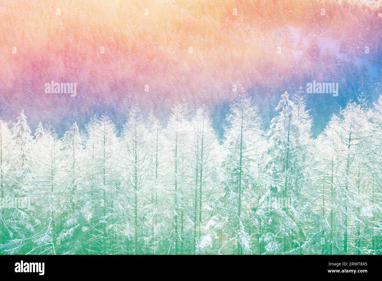 Mount airy forest hi-res stock photography and images - Alamy