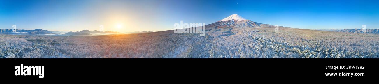 360 degrees panorama trees hi-res stock photography and images - Alamy