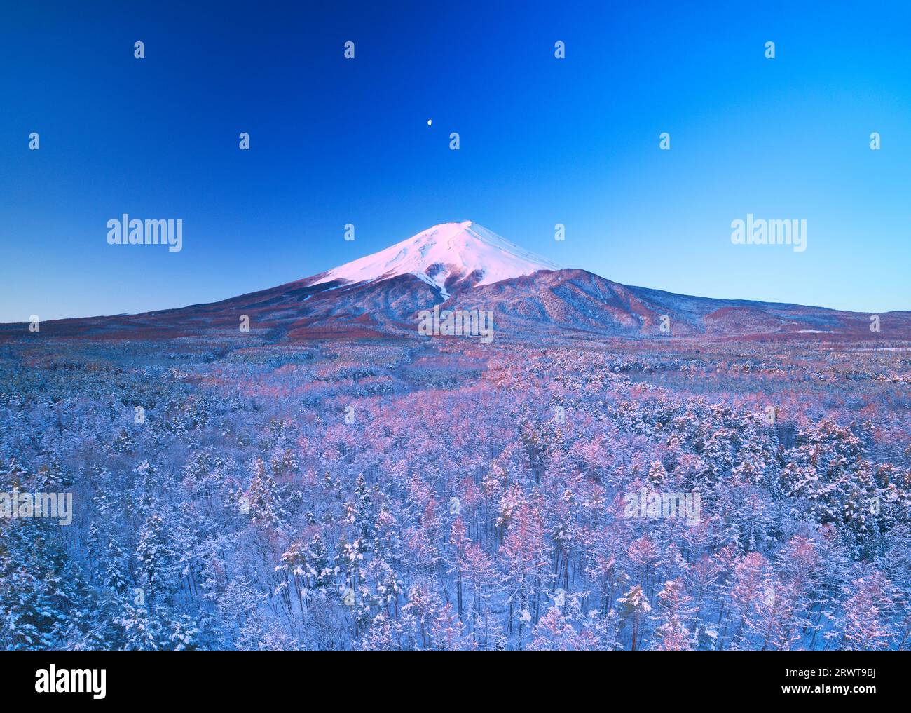 Red moon sea hi-res stock photography and images - Alamy