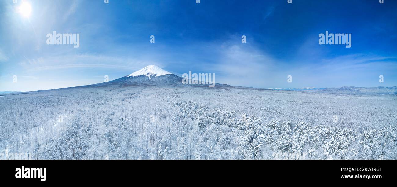 Panorama of sea of trees with fresh snow, Mt. Fuji and Southern Alps ...