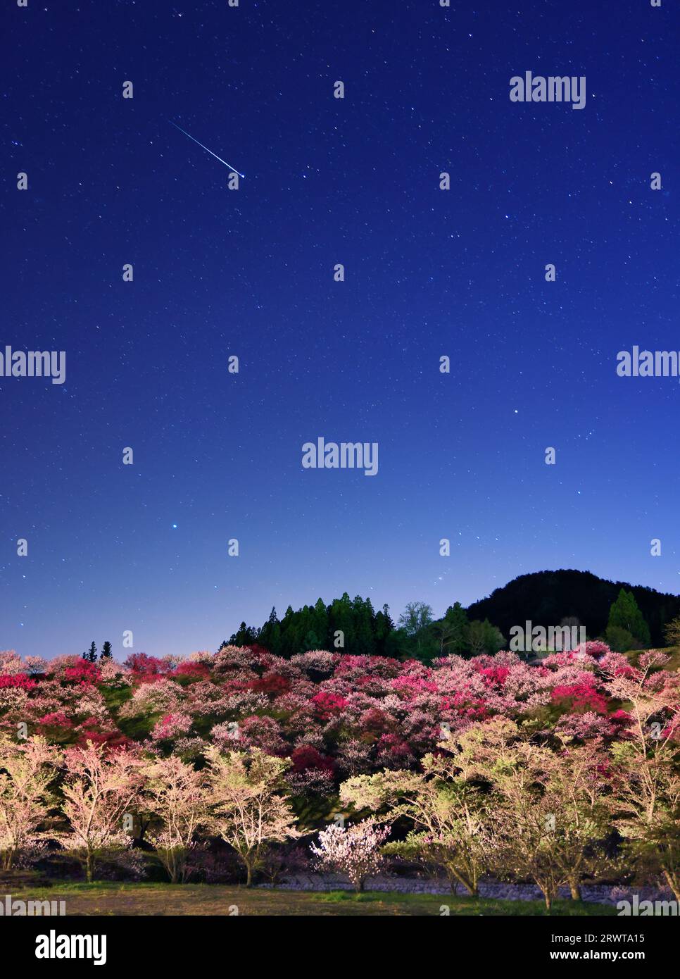 Light-up of Hanamomo no Sato and starry sky and meteors Stock Photo - Alamy