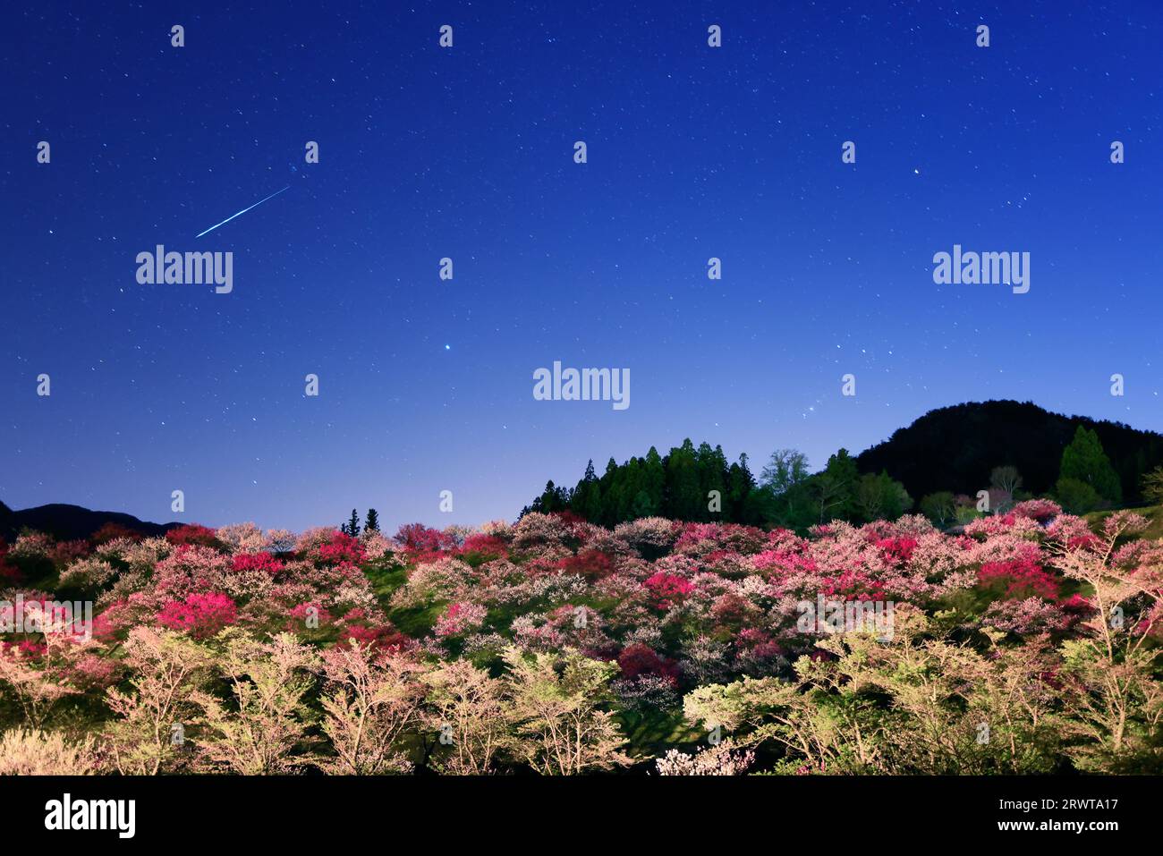 Light-up of Hanamomo no Sato and starry sky and meteors Stock Photo - Alamy