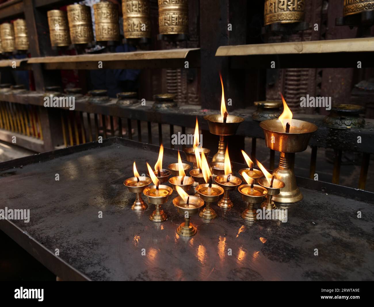Oil lamps in front of prayer wheels in the Golden Temple Hiranya Varna ...