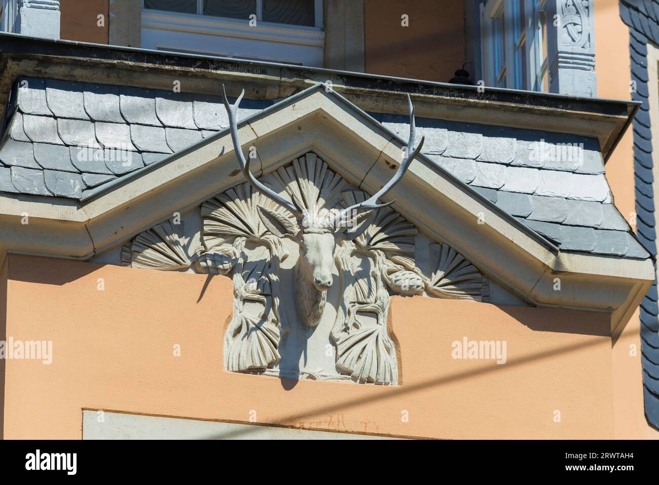 Bust of a stag on a Wilhelminian-style house, symbolising the white ...