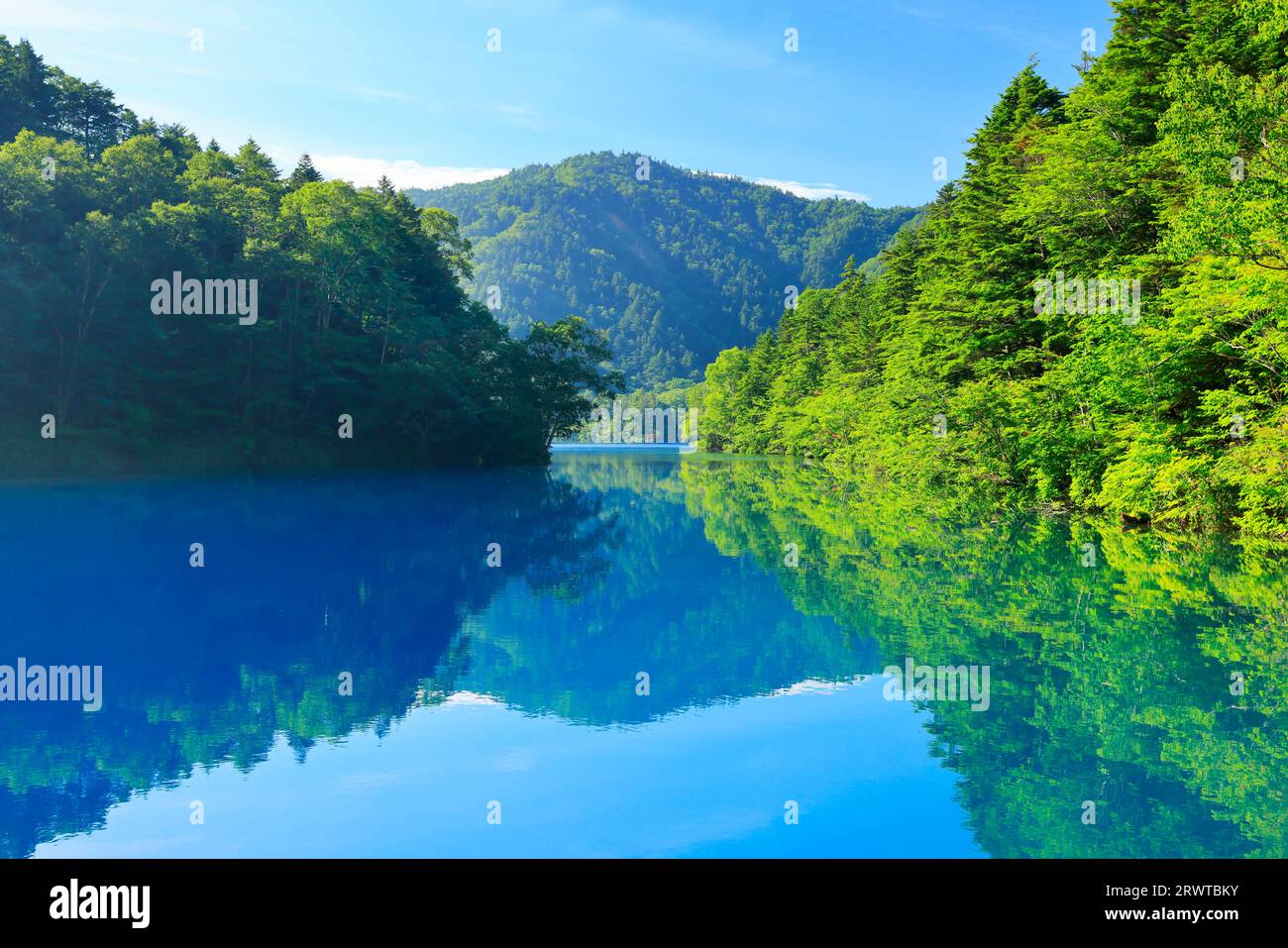 Onuma Pond in a morning water mirror and the distant view of the torii ...