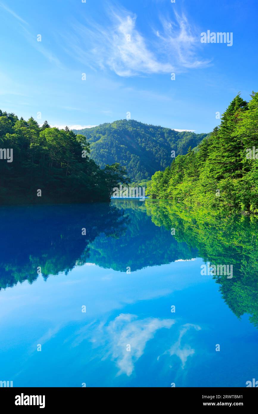 Onuma Pond in a morning water mirror and the distant view of the torii ...