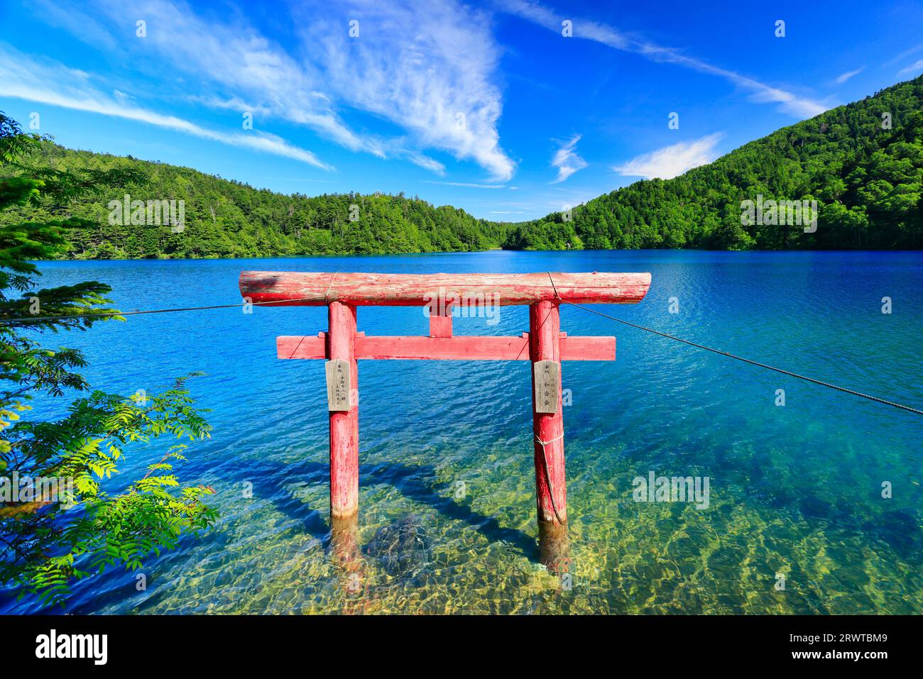 Torii (gate) of Onuma Shrine and Onuma Pond Stock Photo - Alamy
