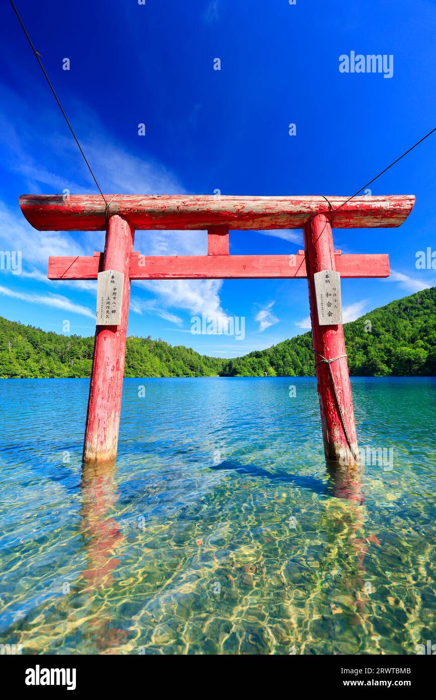 Torii (gate) of Onuma Shrine and Onuma Pond Stock Photo - Alamy