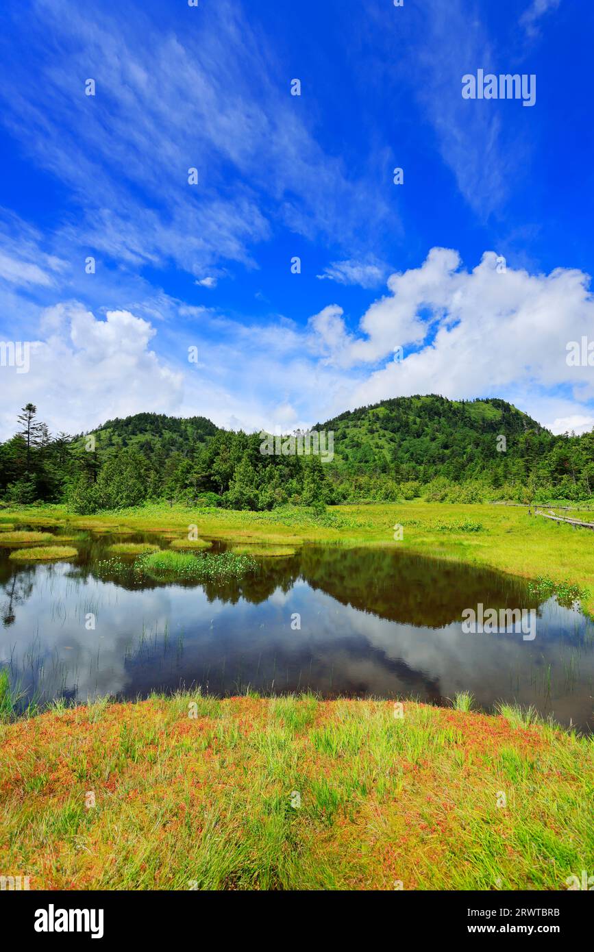 Shigayama hi-res stock photography and images - Alamy