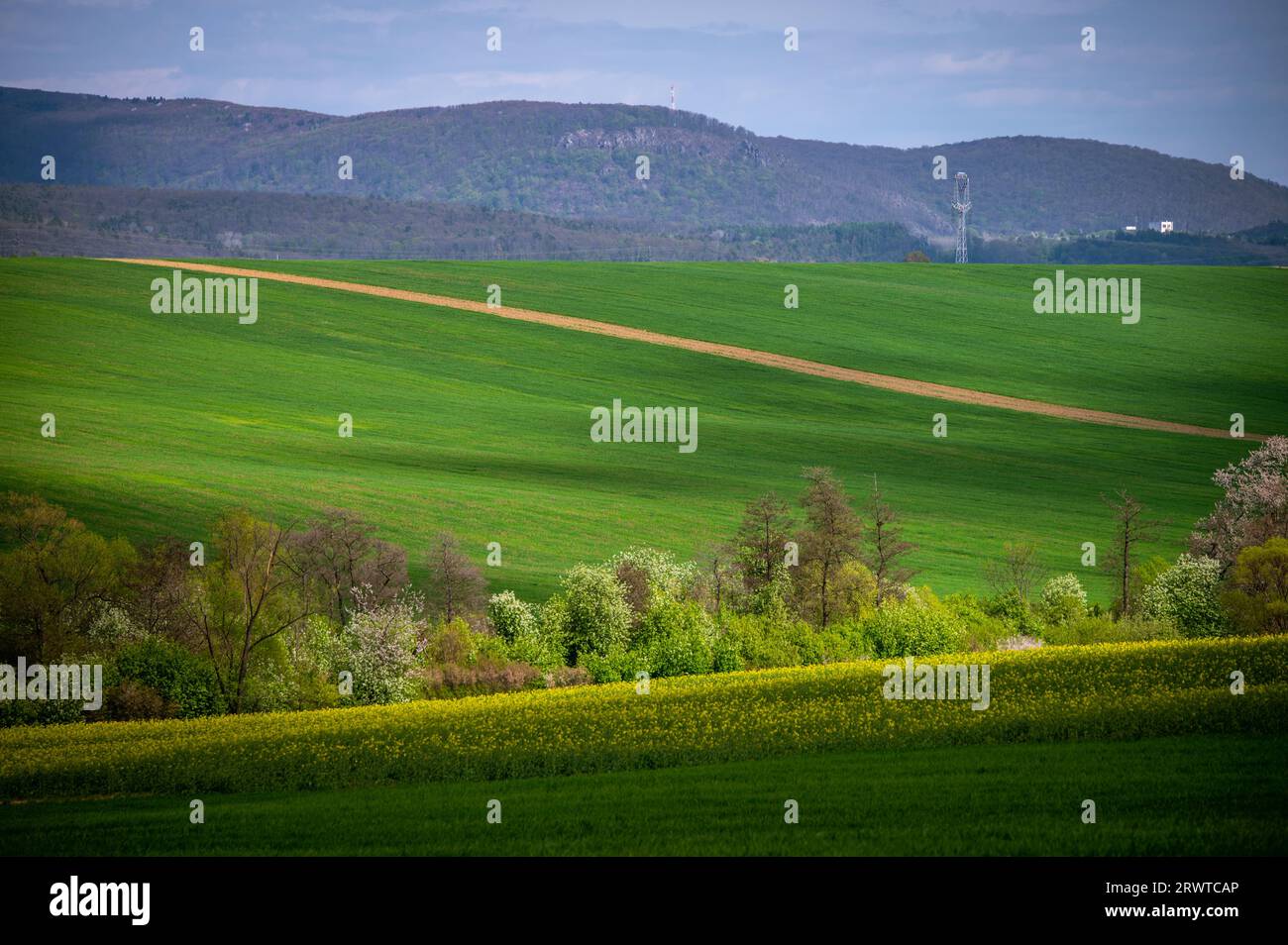 Enchanting splendor hi-res stock photography and images - Alamy