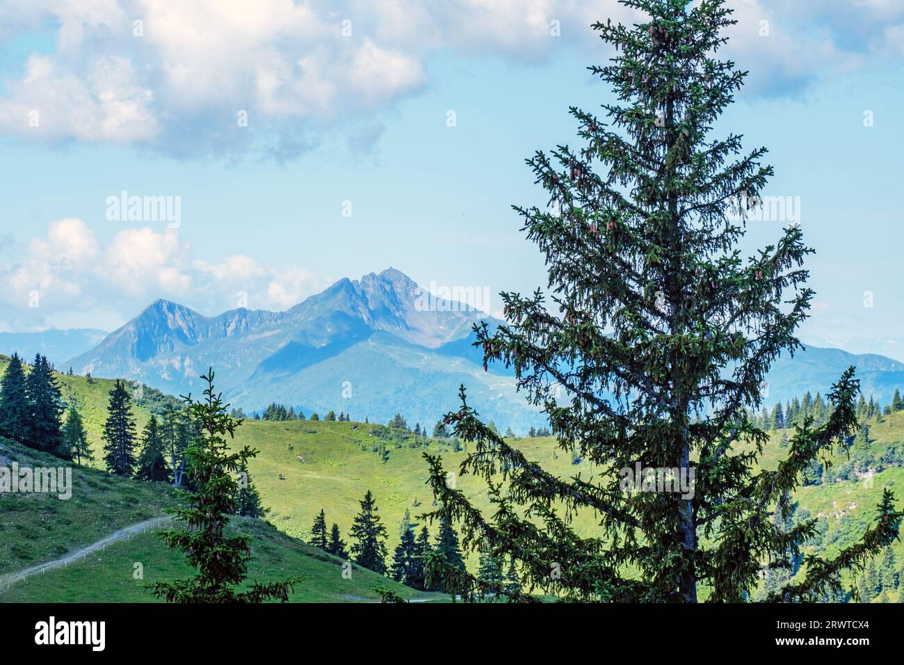 Blue sky with clouds, mountain peaks & fields with trees in Alpbach ...