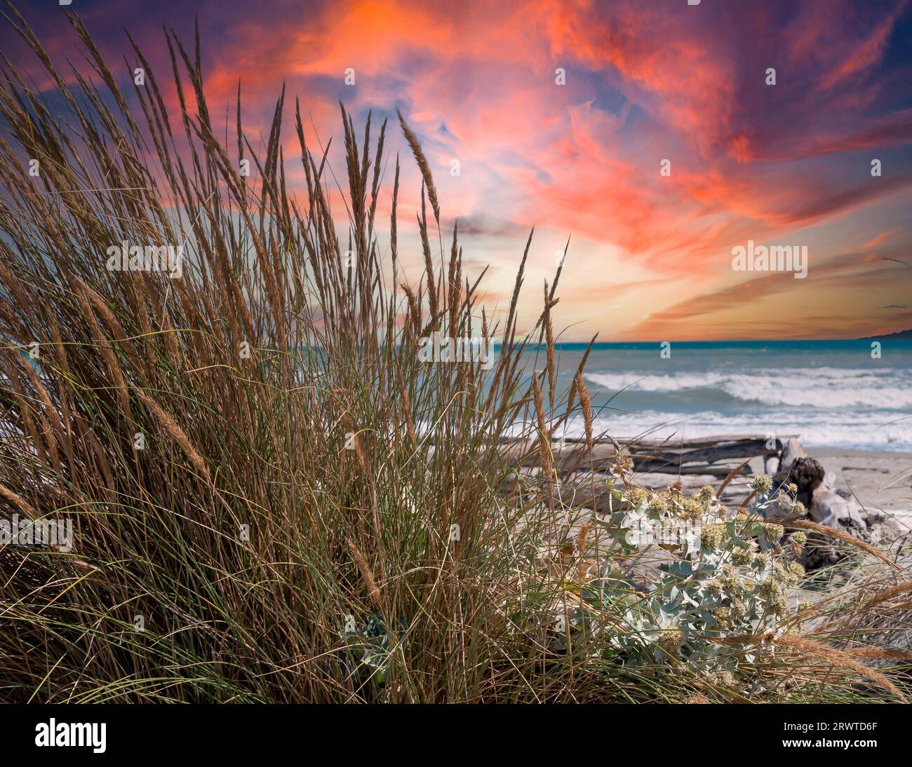 Sunset with dune grass hi-res stock photography and images - Alamy