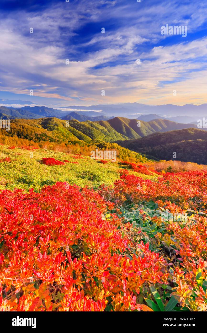 Takeshimine hi-res stock photography and images - Alamy