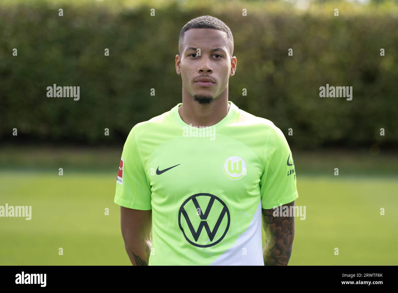 Club aster hi-res stock photography and images - Alamy