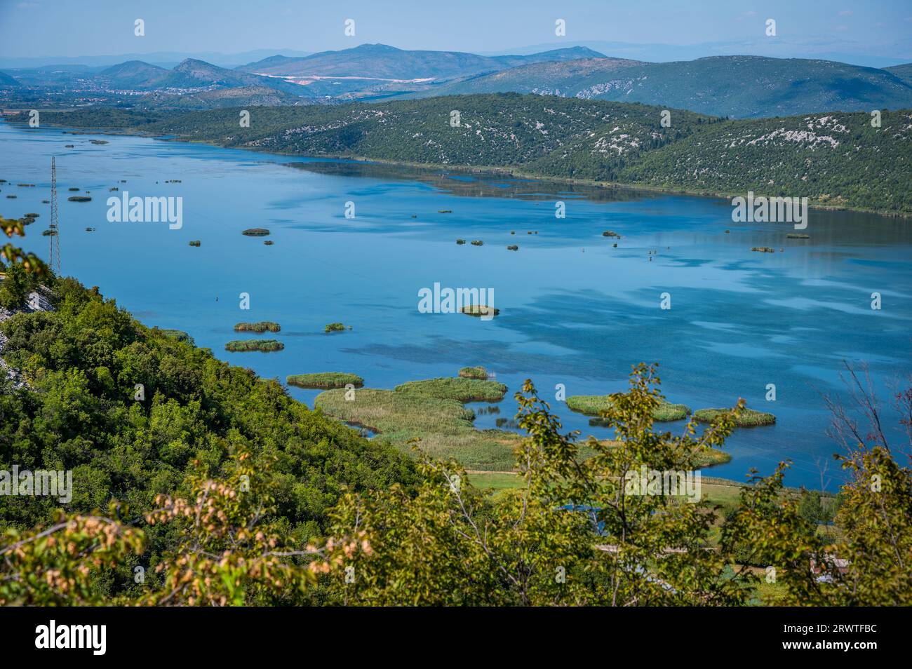 Flooded field, Swamp in nature. Hutovo Blato, bird reserve and nature ...